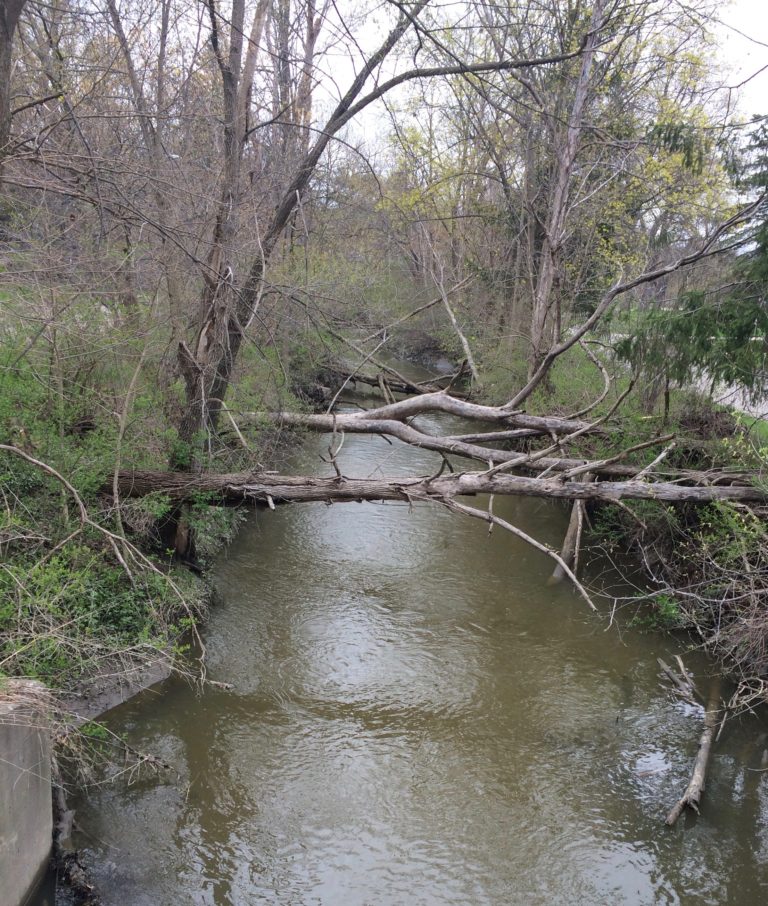 Loving Gilkey Creek, one neighbor at a time: residents plead “no ...