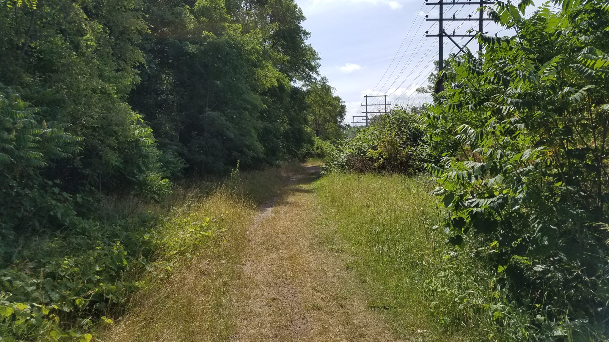 Last piece of Flint River-Genesee Valley trail acquired; links Flint to ...