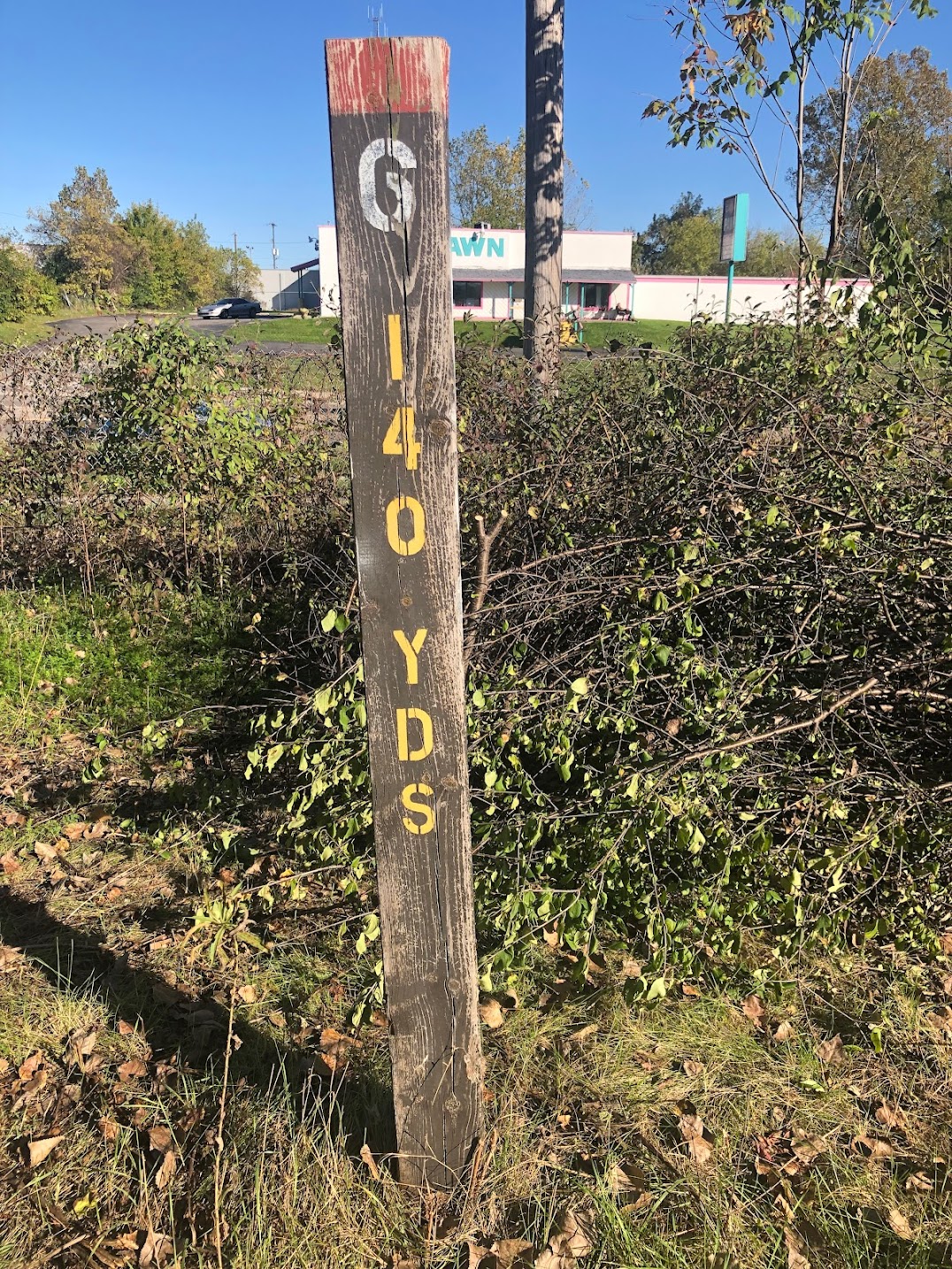 Pierce Park restoration underway with community collaboration | East ...