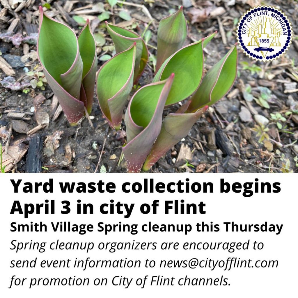 Yard waste collection begins in Flint April 3 | East Village Magazine