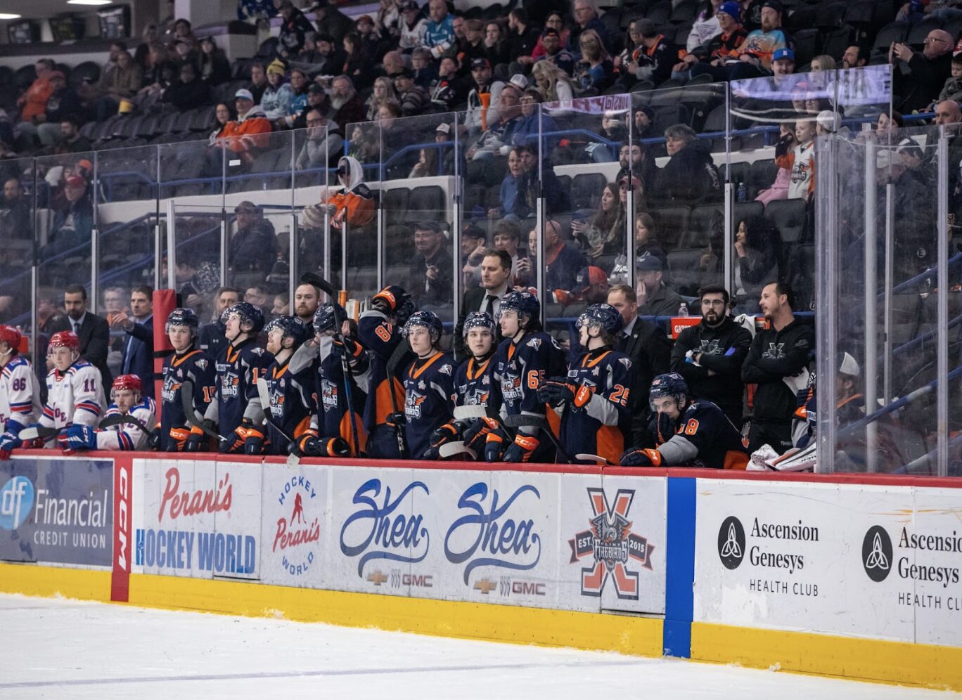 Flint Firebirds 2024-25 season ends in first round, eyes now on next ...